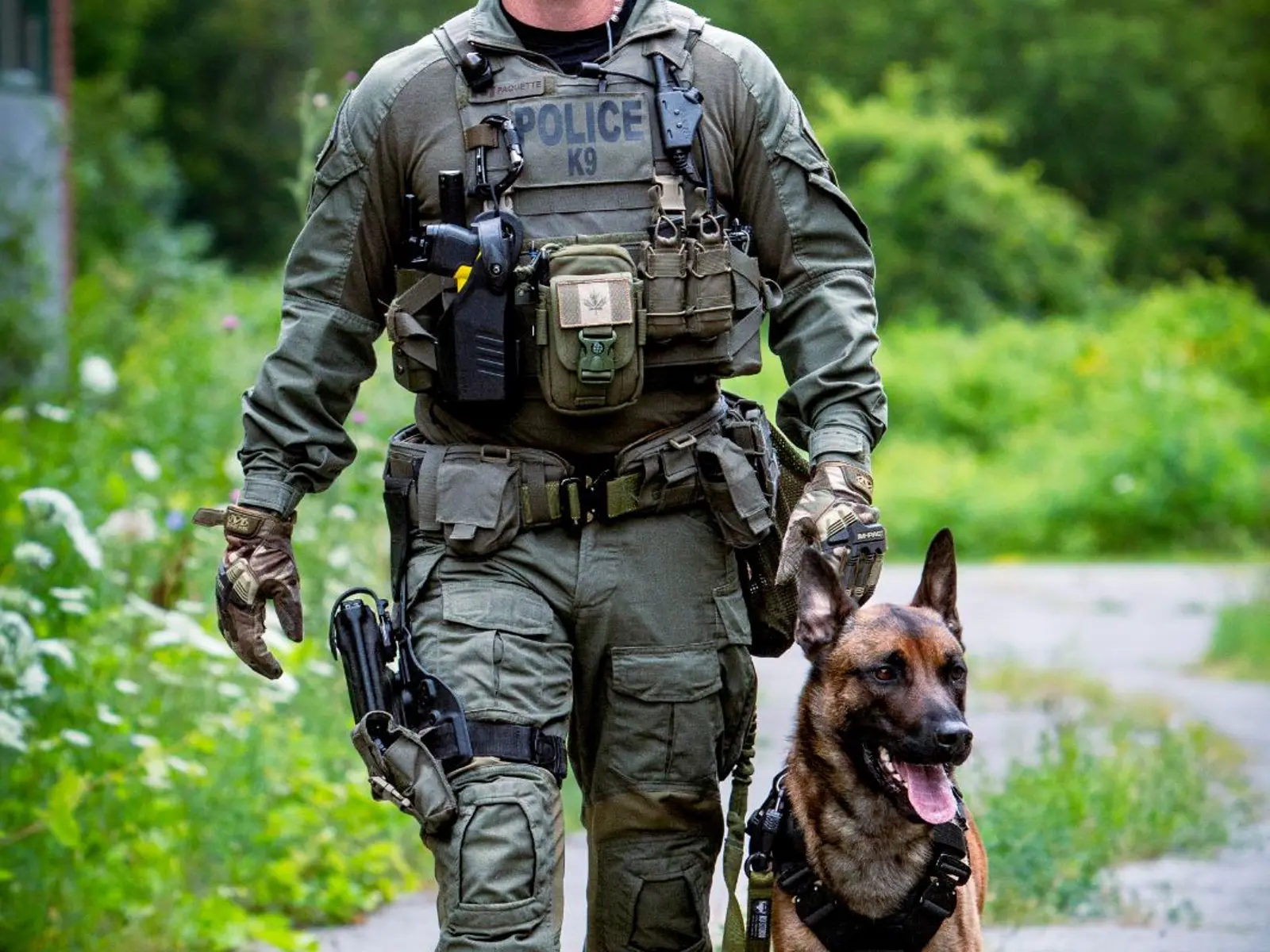 Quick Police Response and K9 “Juice” Led to Arrest Following Commercial ...